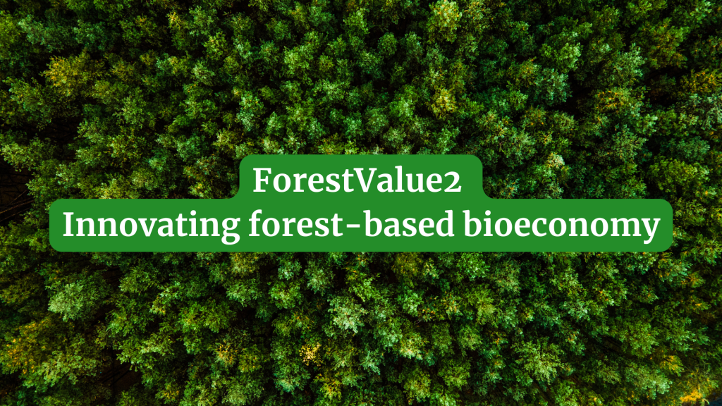 ForestValue2 - Innovating forest-based bioeconomy - INCDS